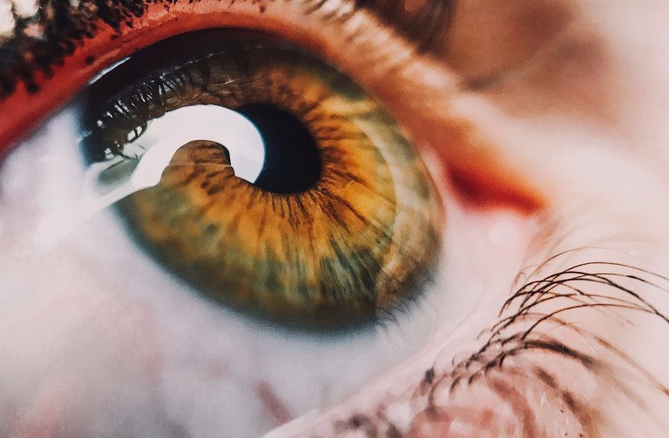 Do Your Own Exposure Therapy for Emetophobia | EmetoGo